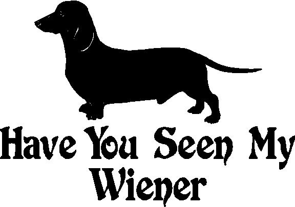 Wiener Dog, Have you seen my wiener, Vinyl decal sticker